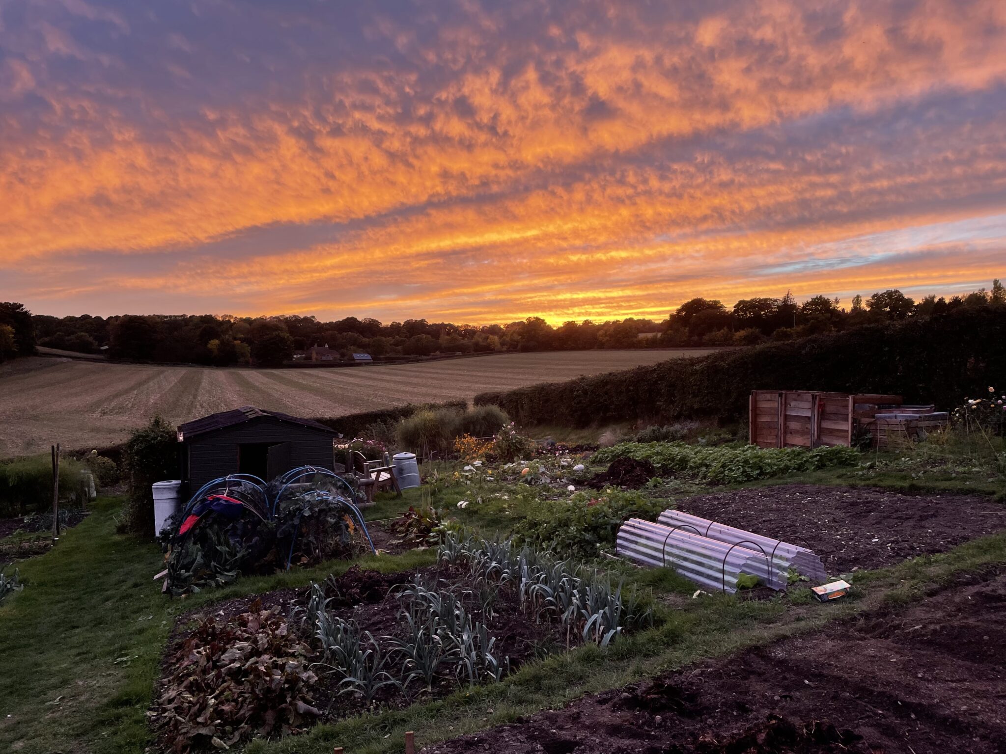 Plot Inspections – Bridge Allotment Association